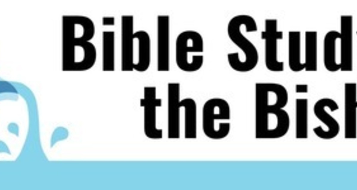 Bible Study with the Bishop - Northern Illinois Annual Conference